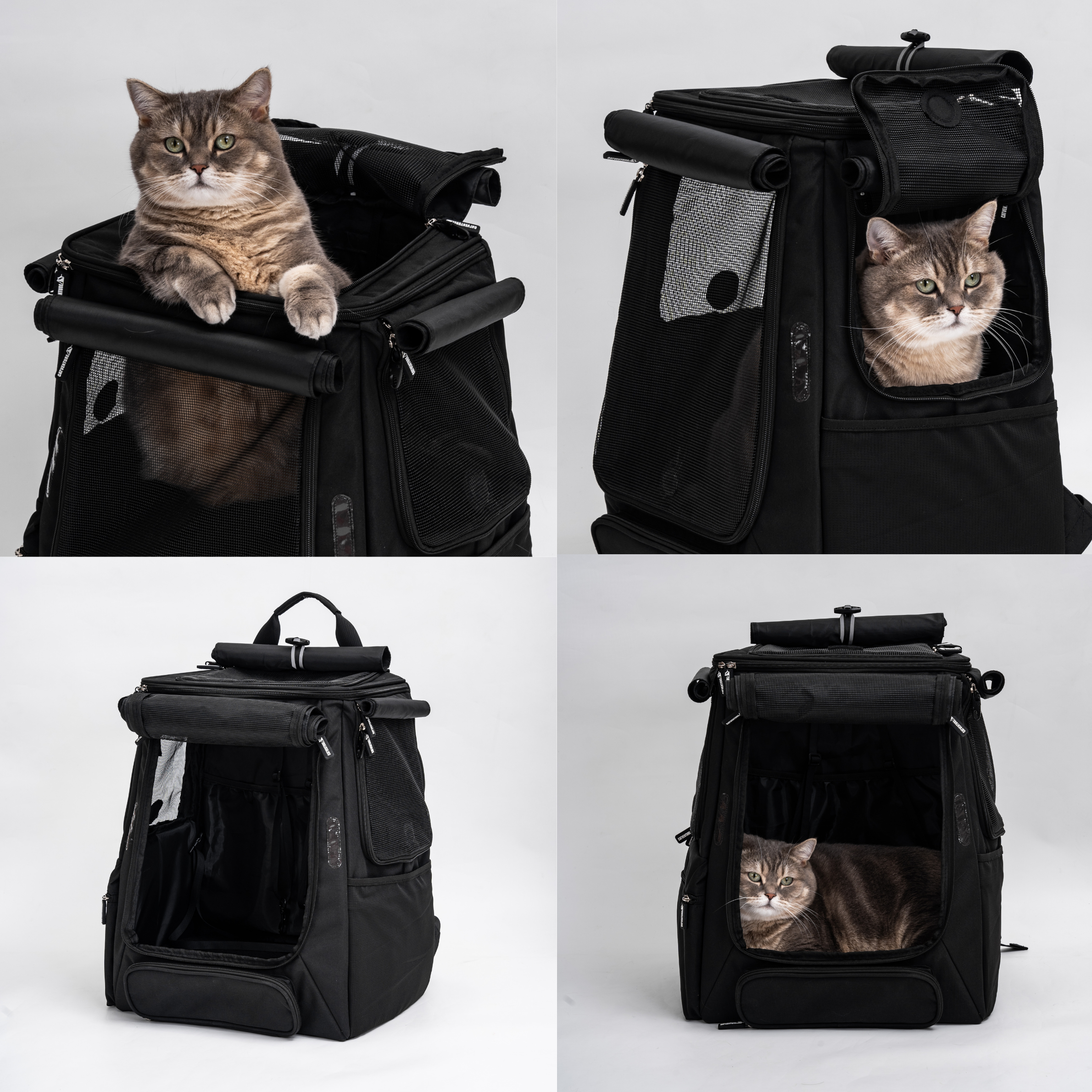 Backpacks – Cat Harness Australia
