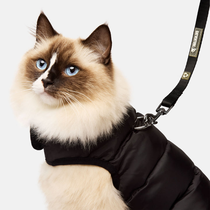 Cat Harness Australia - Escape Proof Cat Harness