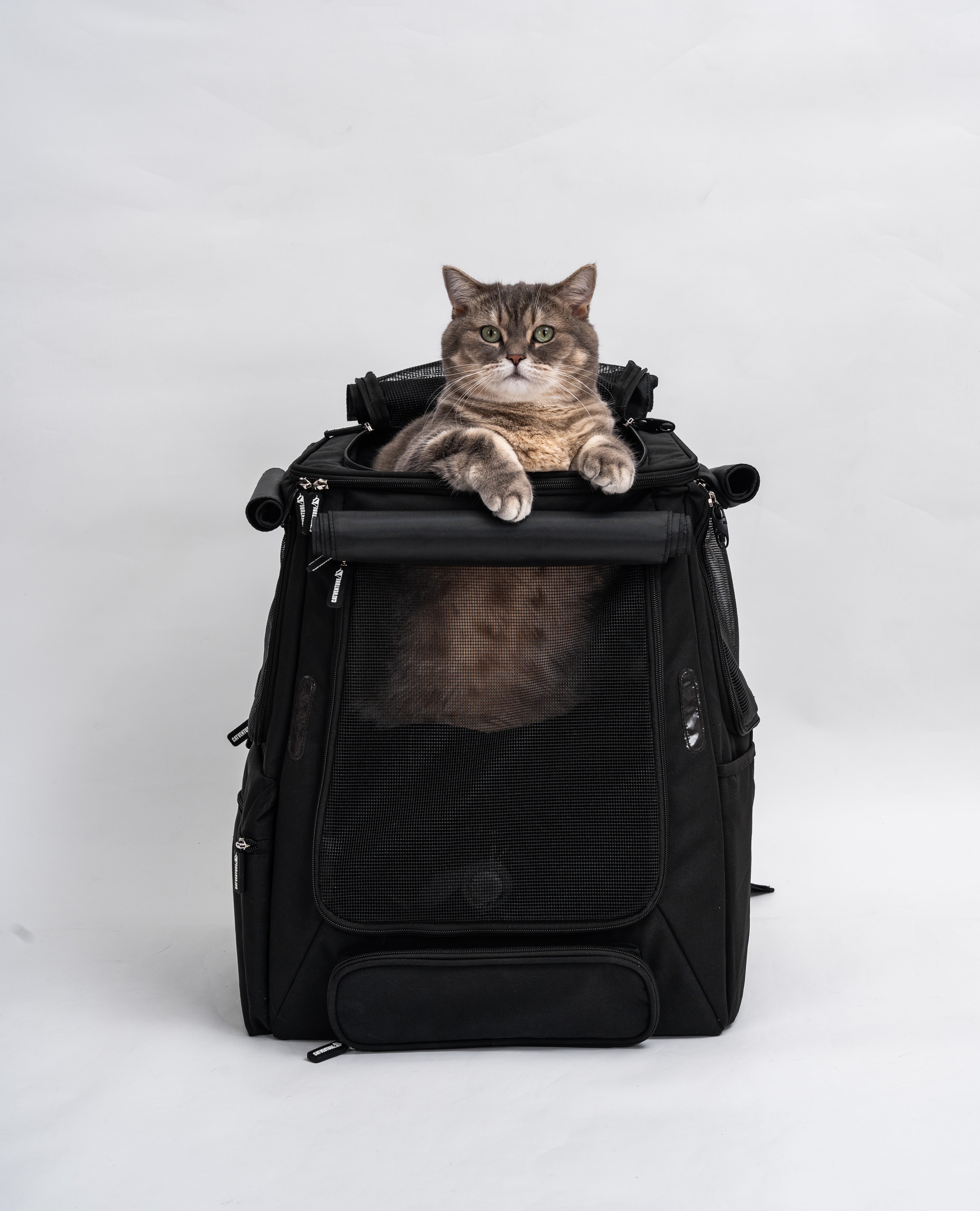 Catventure Premium Adventure Cat Backpack: No-Sag Large Cat Carrier for ...